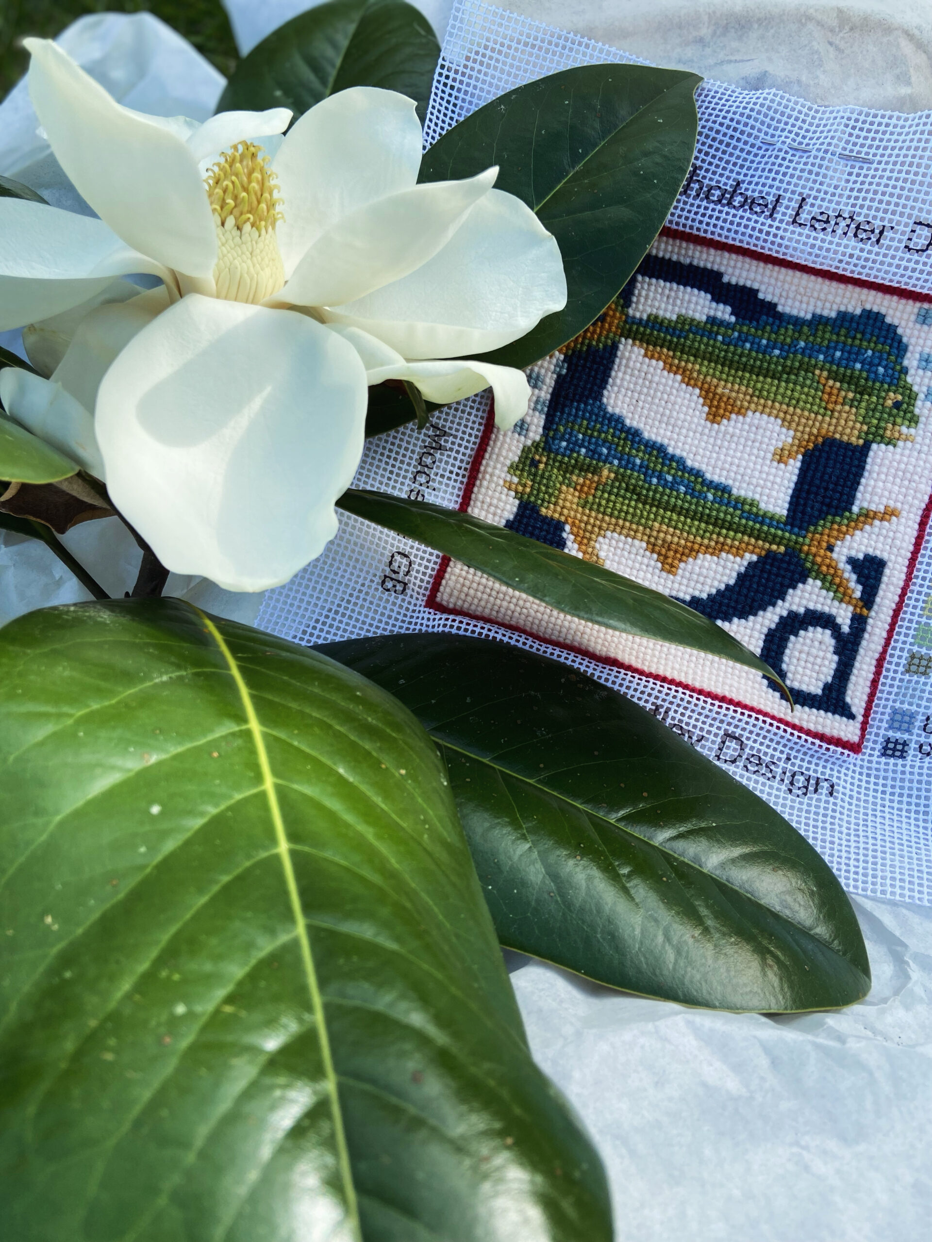 Elizabeth Bradley - D - Dorado - Tea & Tapestry